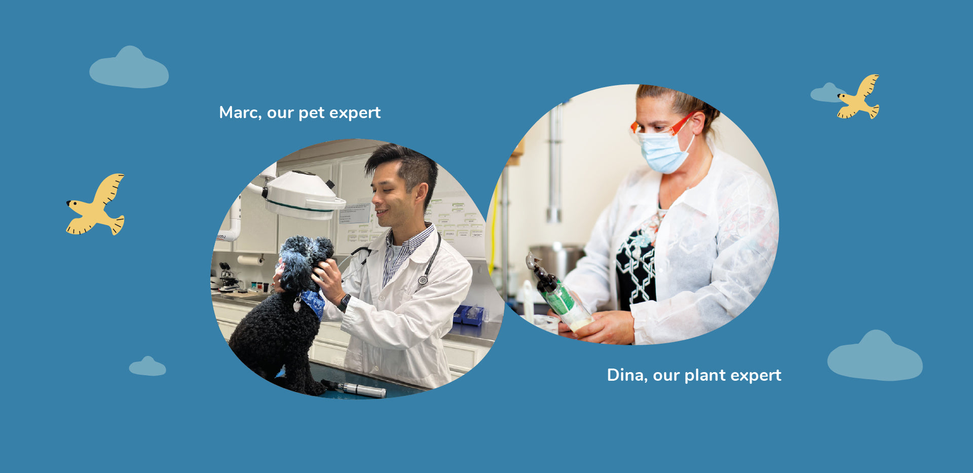 Vet Formulated – kin+kind Canada - Natural & Organic - Pet Grooming ...