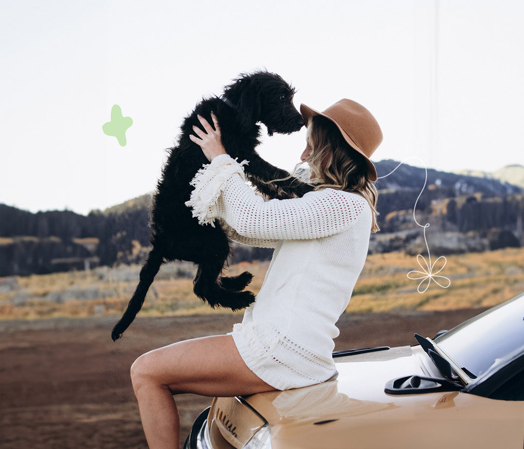 Natural & Organic Grooming Products and Supplements for Cats and Dogs ...